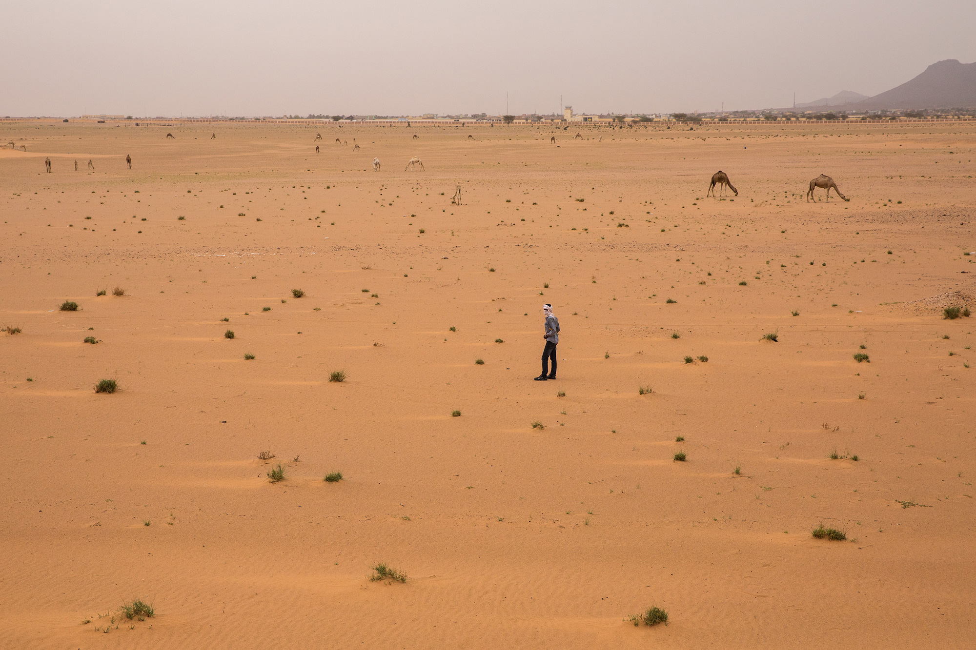 Sahara train18 | The GroundTruth Project