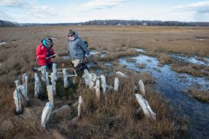 The Great Marsh | The GroundTruth Project