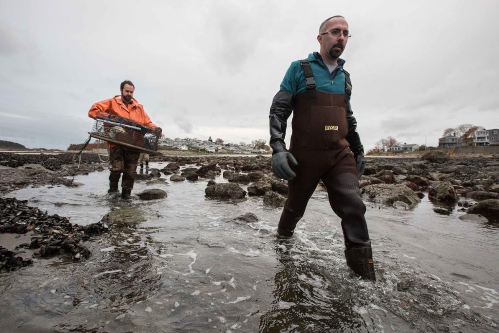 The Great Marsh | The GroundTruth Project