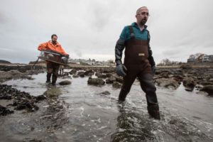 The Great Marsh | The GroundTruth Project